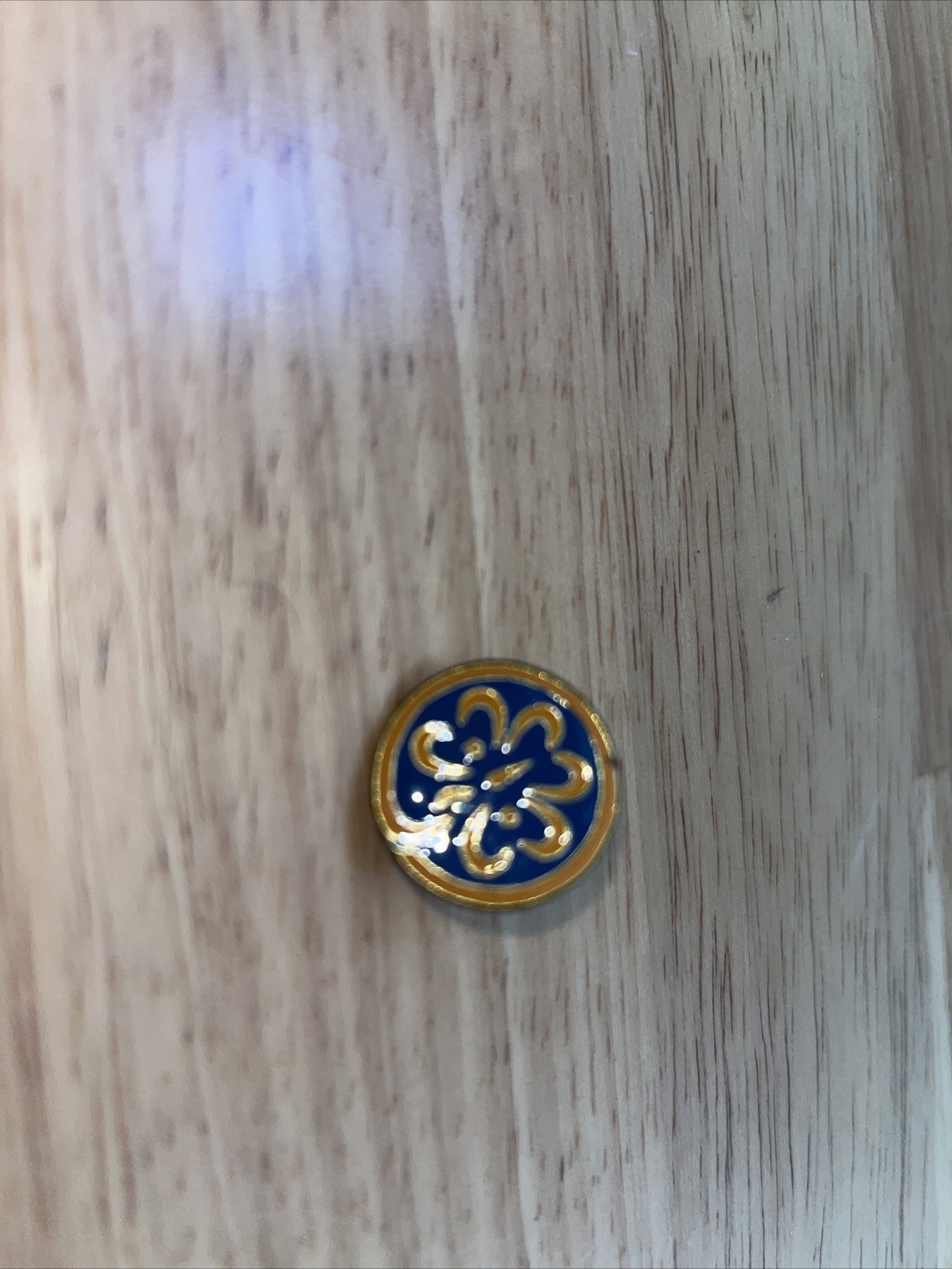 Girl Scouts World Association PIn | eBay