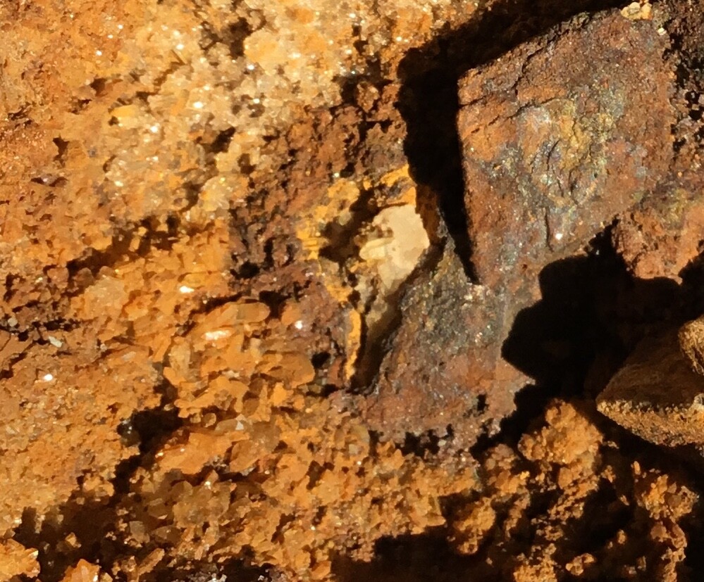 Gold Ore Specimen Quartz Geode from Mexico, large rusty pyrite crystal ...