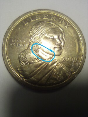 2000 P Sacagawea Dollar Error Coin, See Marked Photo (Ear Area Slit ...