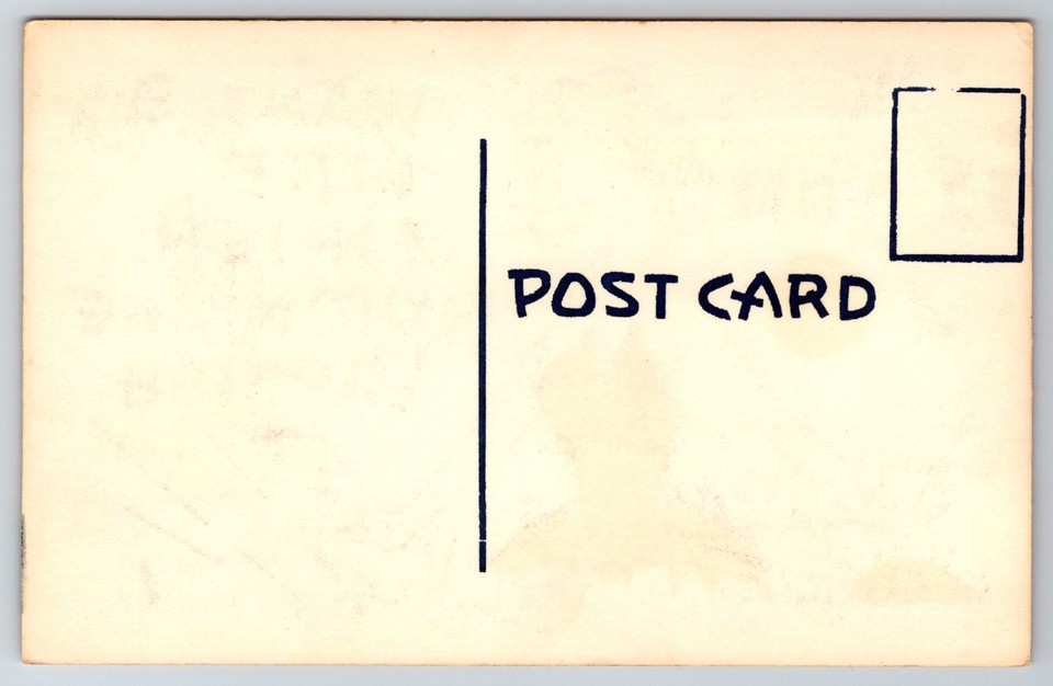 Humor If You Want a Fine Finish Try Drinking Varnish Vintage Postcard ...