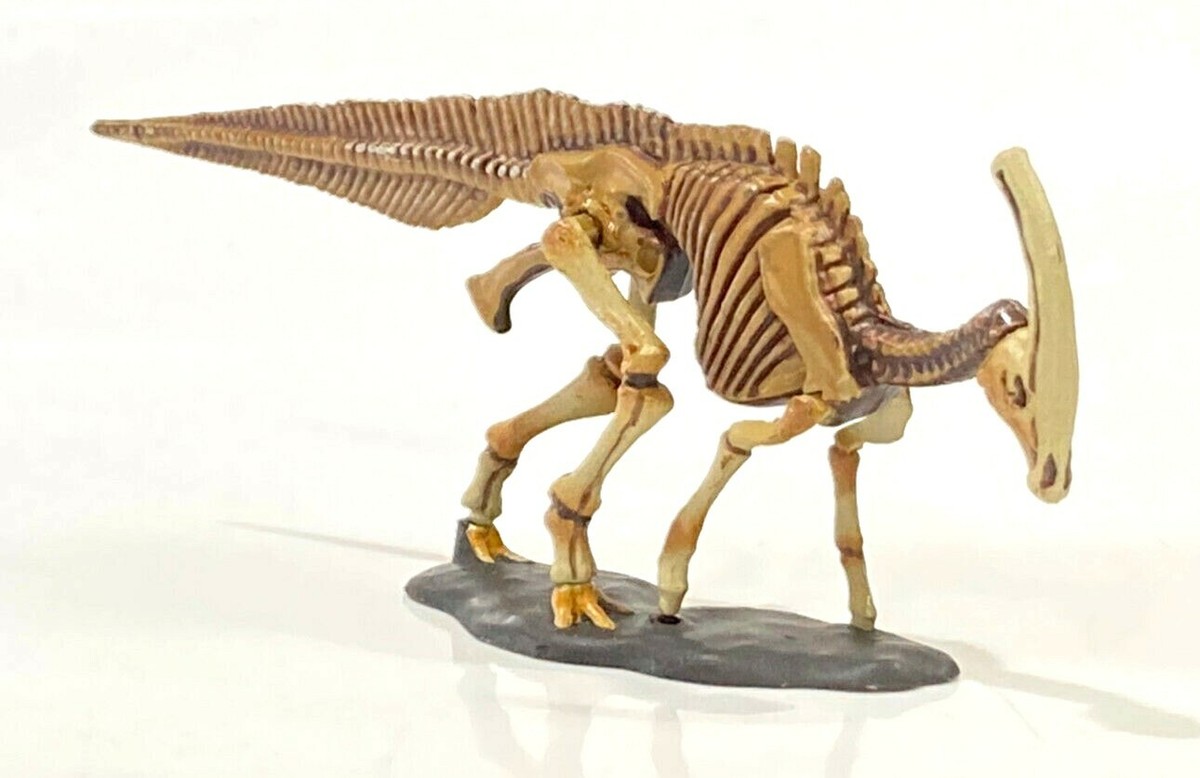 Parasaurolophus Skeleton Parasaurolophus Cyrtocristatus Stock Image