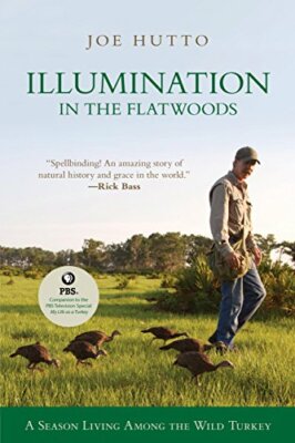 Illumination in the Flatwoods: A Season with the Wild Turkey by Hutto ...