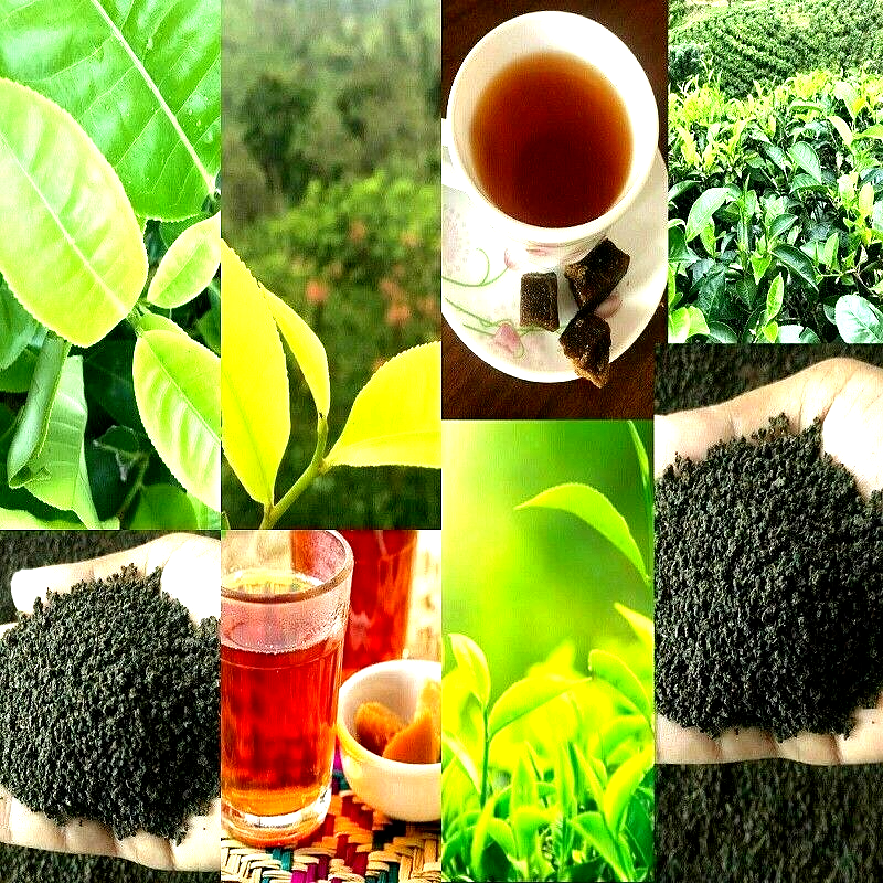 Laogi Black Tea Natural High Quality Pure Ceylon Organic 500g New Tea ...