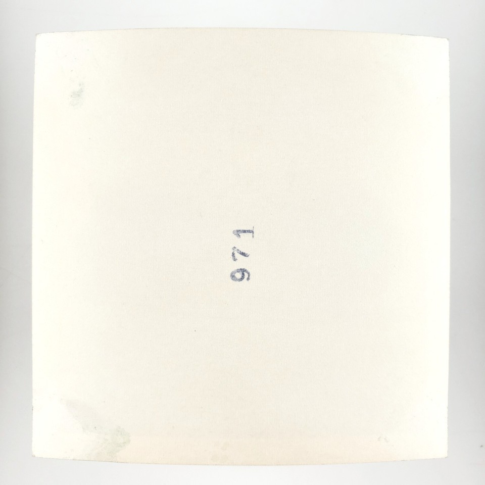 Ford Carousel Amusement Park Photo 1950s Merry-Go-Round Carnival ...