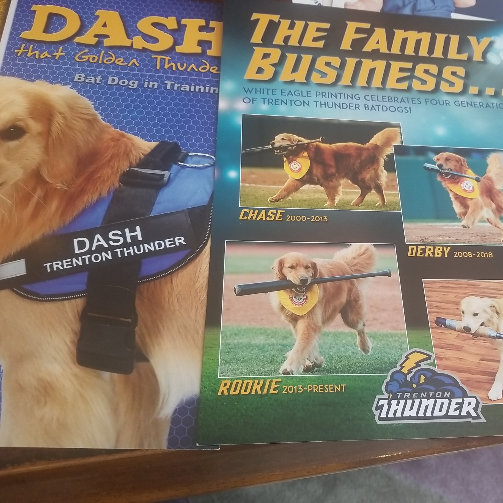Lot 2 trenton thunder bat dog 8x10 photo card sga promo dash giveaway ...