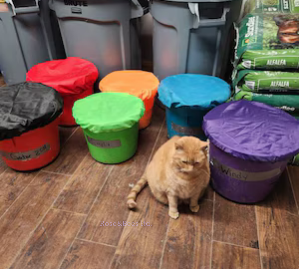 Horse Feed Bucket Cover | Water resistant Purple Blue Rainbow Equin ...