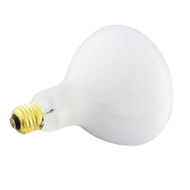 Halogen Light Bulb for Swimming Pool Supplies R40 Medium 500 Watt Base ...