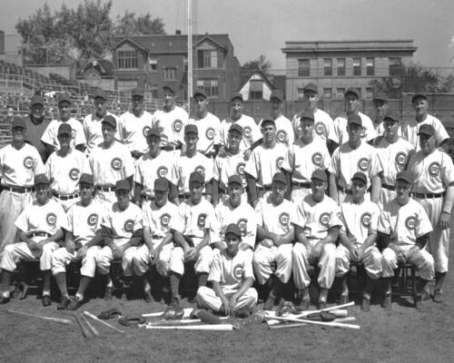 Rare 1945 Chicago Cubs TEAM PIC Retro Oldie 8x10 Wrigley Hack Grimm ...