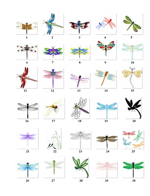 30 Personalized Address Labels Dragonfly (zz1) | eBay
