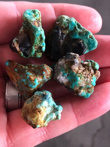 Darling Darlene Spiderweb Turquoise Nuggets All Natural 45g 5 large ...