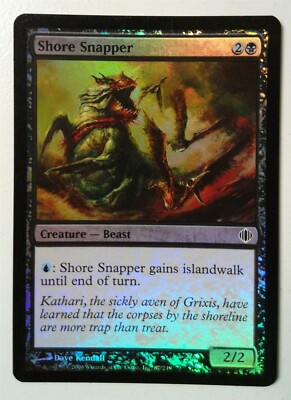 Shore Snapper *FOIL Common* Magic MtG x1 Shards of Alara SP | eBay