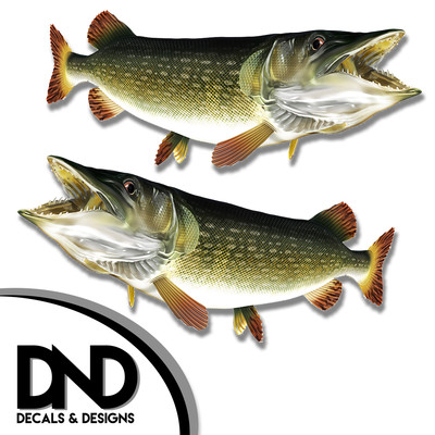 Pike - Fish Decal Fishing Hunting Tackle Box Bumper Sticker "5in SET" F ...
