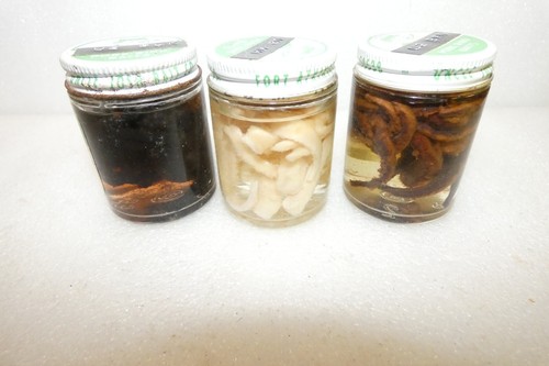 Uncle Josh Pork Rind Baits U2 TWIN TAIL Trailers BLACK WHITE BROWN 1 ...