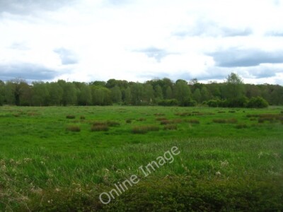Photo 6x4 Meadow by Kennet & Avon Canal Sheffield Bottom c2009 | eBay
