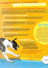 Fetch Magazine Outward Hound Issue Weather Noise and Phobias Outdoors ...