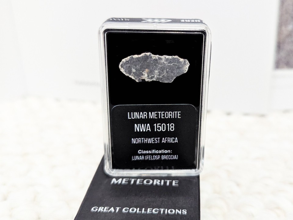 NWA 15018 Lunar Meteorite for Sale, Own an Authentic Moon Rock ...