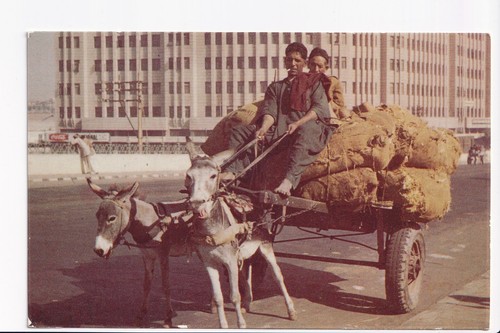 Vintage Postcard POSTED Donkey Cart - Karachi Pakistan | eBay
