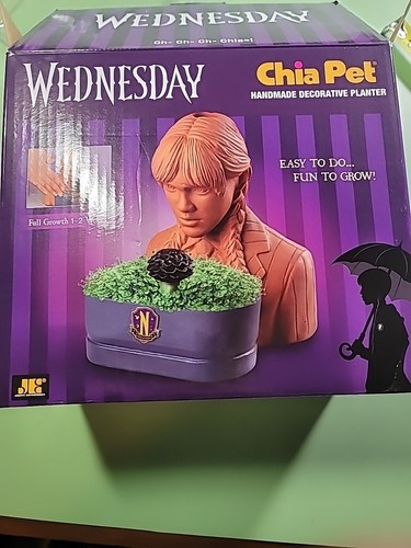 THE ADDAMS FAMILY (Wednesday) Chia Pet Thing Handmade Decorative ...