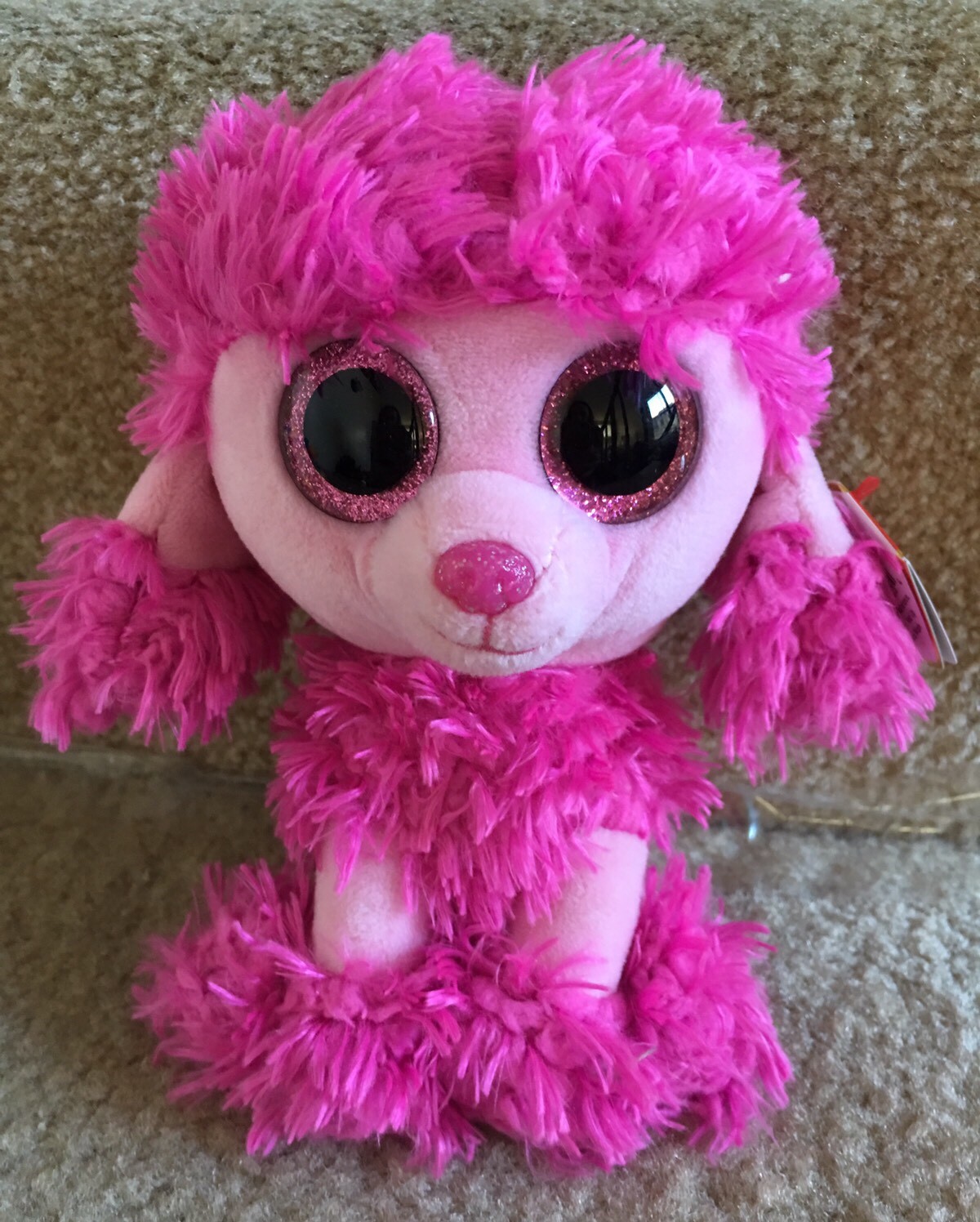 TY BEANIE BOO French Poodle Crew, Mandy, Patsy, Rainbow, Girl Dogs, NEW ...