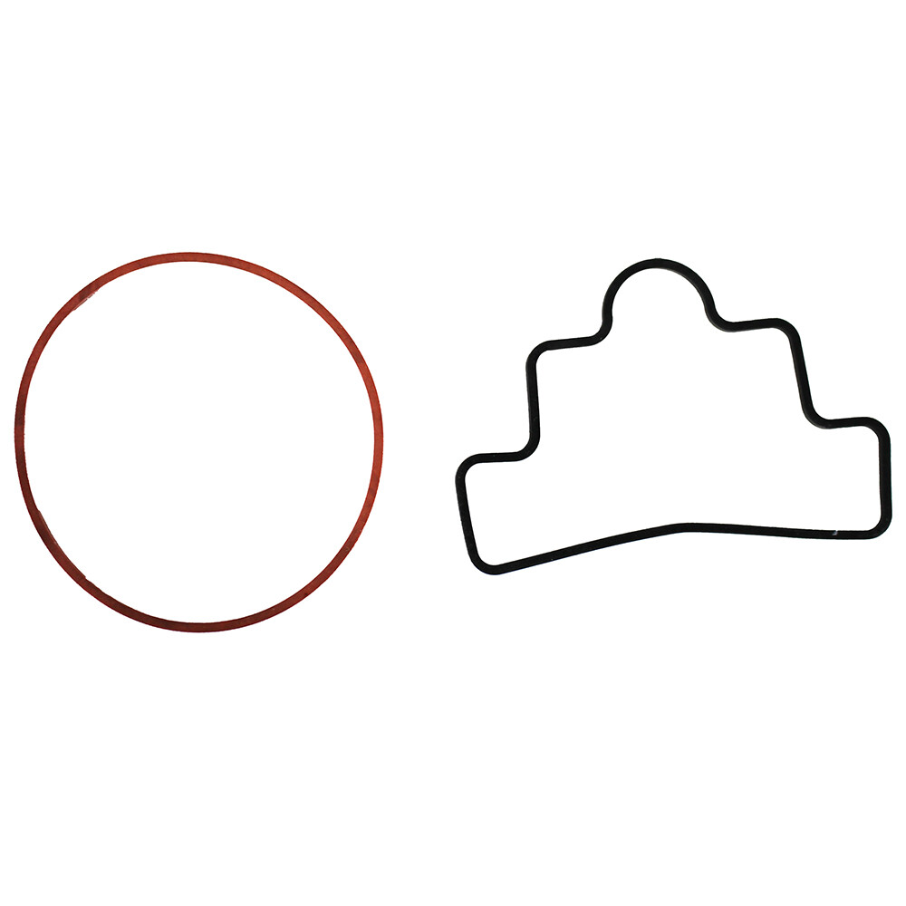 Coleman Powermate / Sanborn Piston / Cylinder Replacement Repair Kit ...