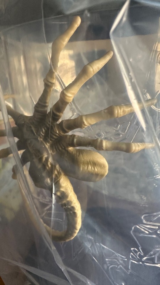 Alien Romulus Regal Exclusive Lighted Facehugger Popcorn Bucket New ...