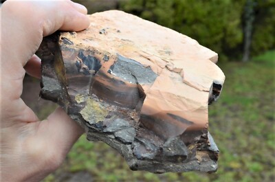 Bat Cave Jasper, N. Rim of the Ochoco Mt., Crook Co., Oregon - 2.2 lbs ...