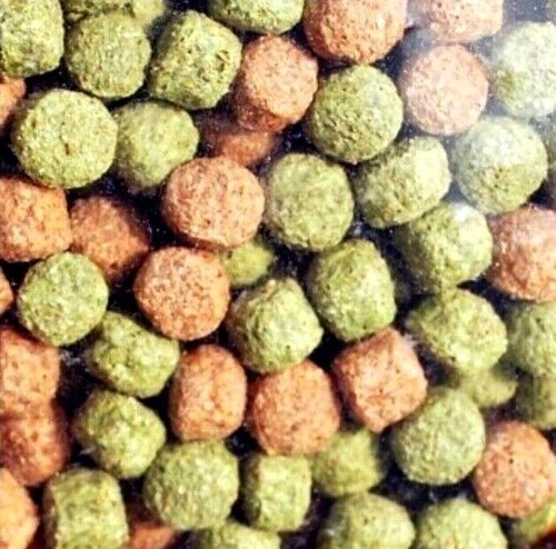 WEBBOX RAINBOW PELLETS mixed floating pond fish food koi carp goldfish ...