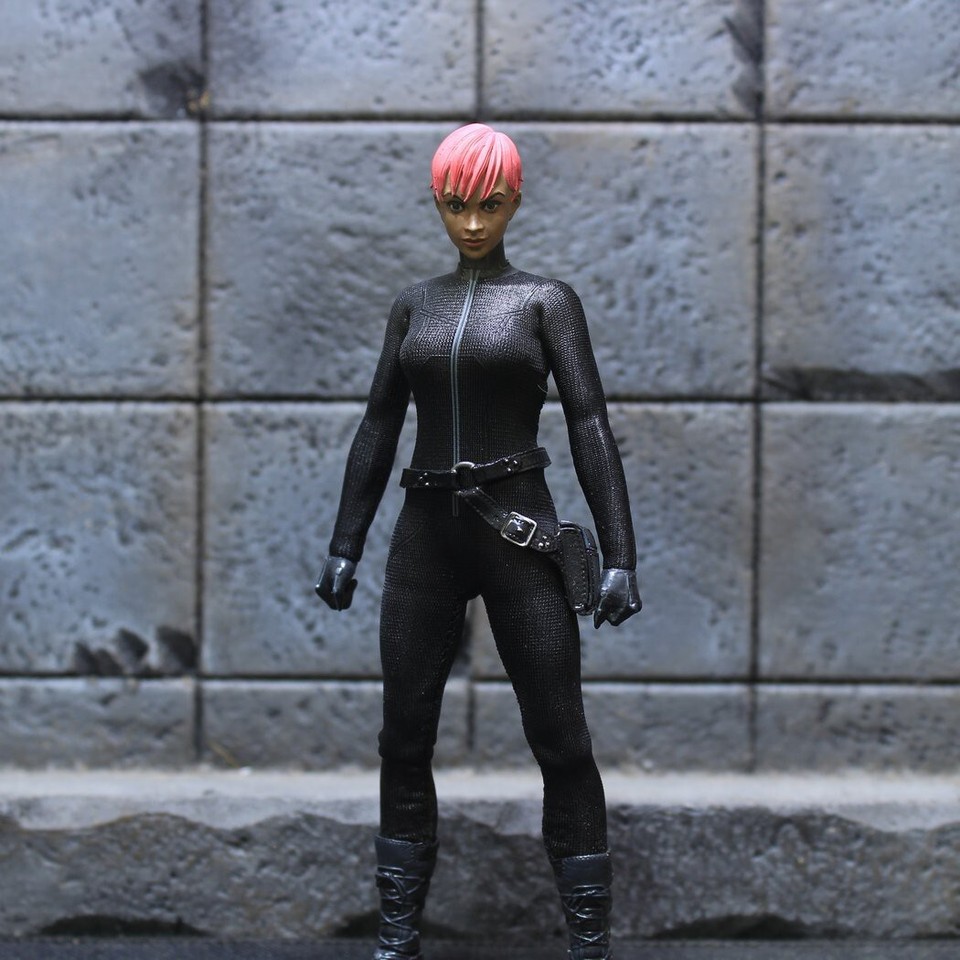 1/12 Custom DC Universe Maxine Gibson Batman Beyond Animated Head ...