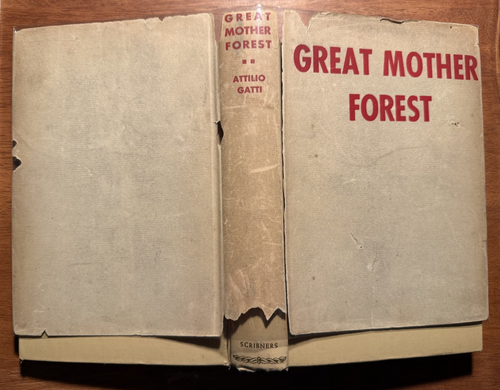 CONGO RWANDA ATTILIO GATTI GREAT MOTHER FOREST 1937 | eBay