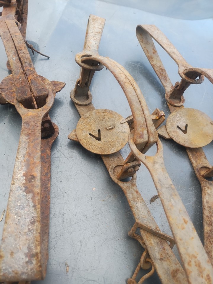5- Victor Double Long Spring Traps 1 Jump Trap | eBay