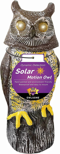 Solar Owl with Flashing Eyes, Rotating Head, Hoot Sound, Motion ...