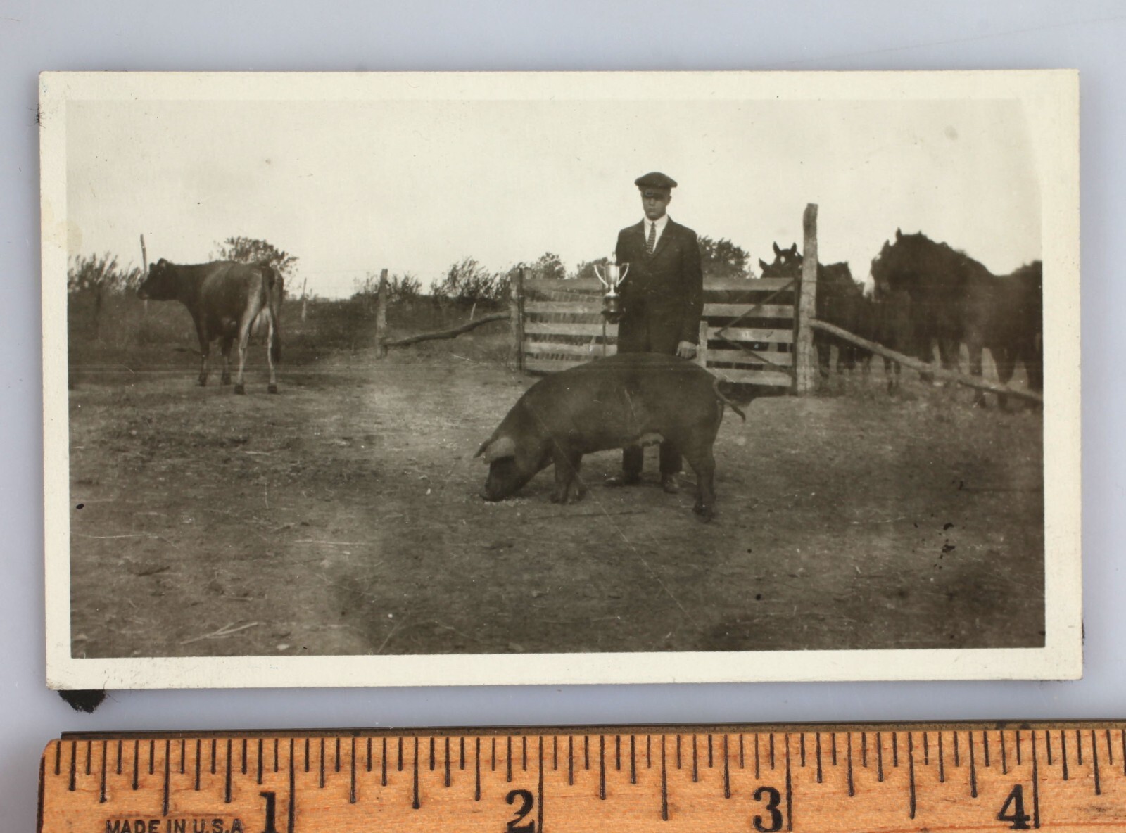 Vintage Original Photograph Roy and His Prize Pig Hog Holding Trophy | eBay