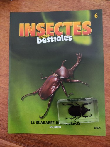 Collection Insectes & autre Bestioles. Magazine Numéro 6 Scarabée ...