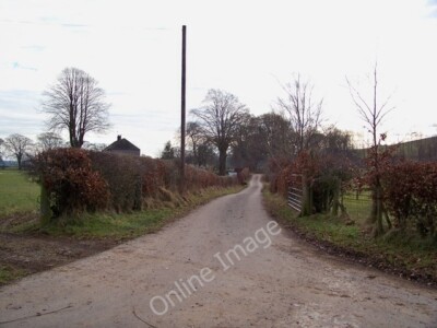 Photo 6x4 Country Lane Junction Marjoriebanks A junction near Bankhead ...