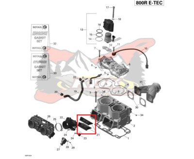 SKI-DOO 800R ETEC REED VALVE ASSY 420924798 (US4-4) | eBay