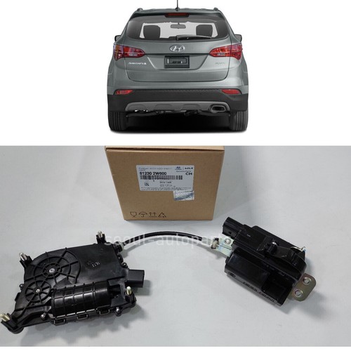 FREE DHL 812302W600 Trunk Tailgate Lock Latch for Hyundai SAN TA FE ...
