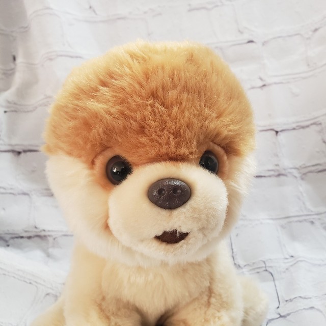 Gund Boo The World's Cutest Dog Plush 8-Inch Stuffed Animal Pomeranian ...