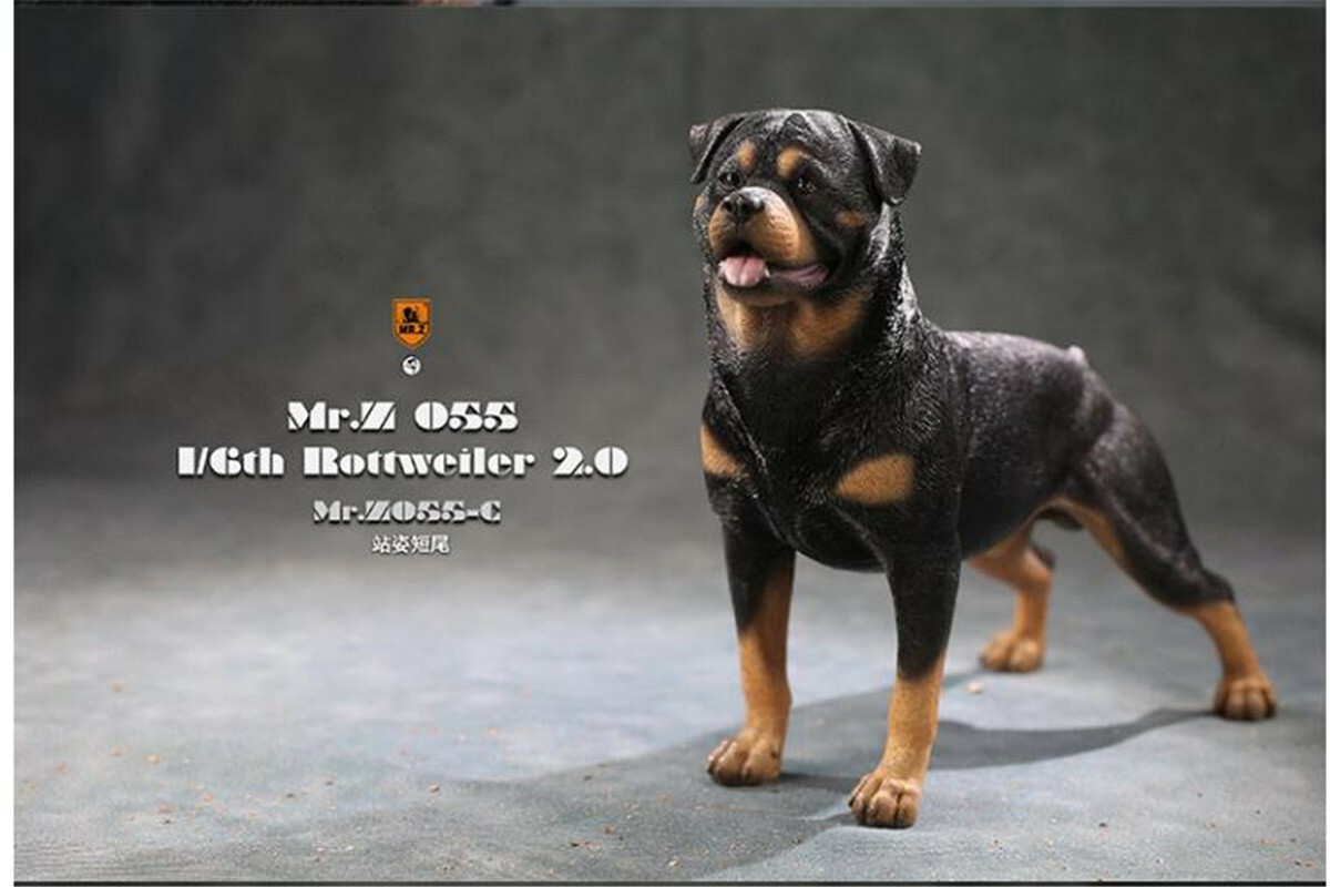 Mr.z 1:6 Scale Rottweiler Model Cute Pet Dog Animal Figure Collection ...
