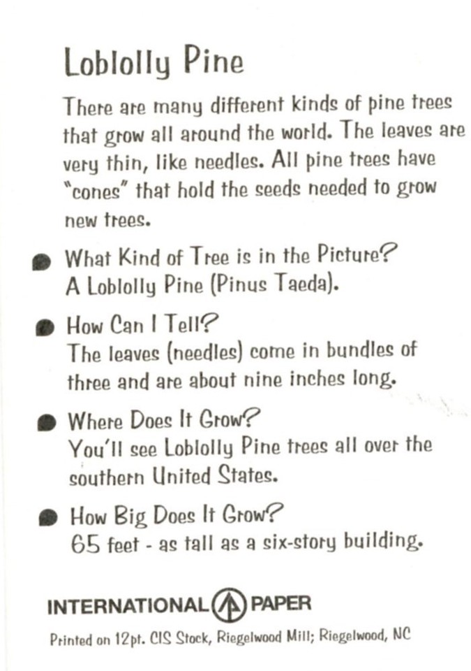 INTERNATIONAL PAPER cards Riegelwood Mill NC Loblolly Pine | eBay