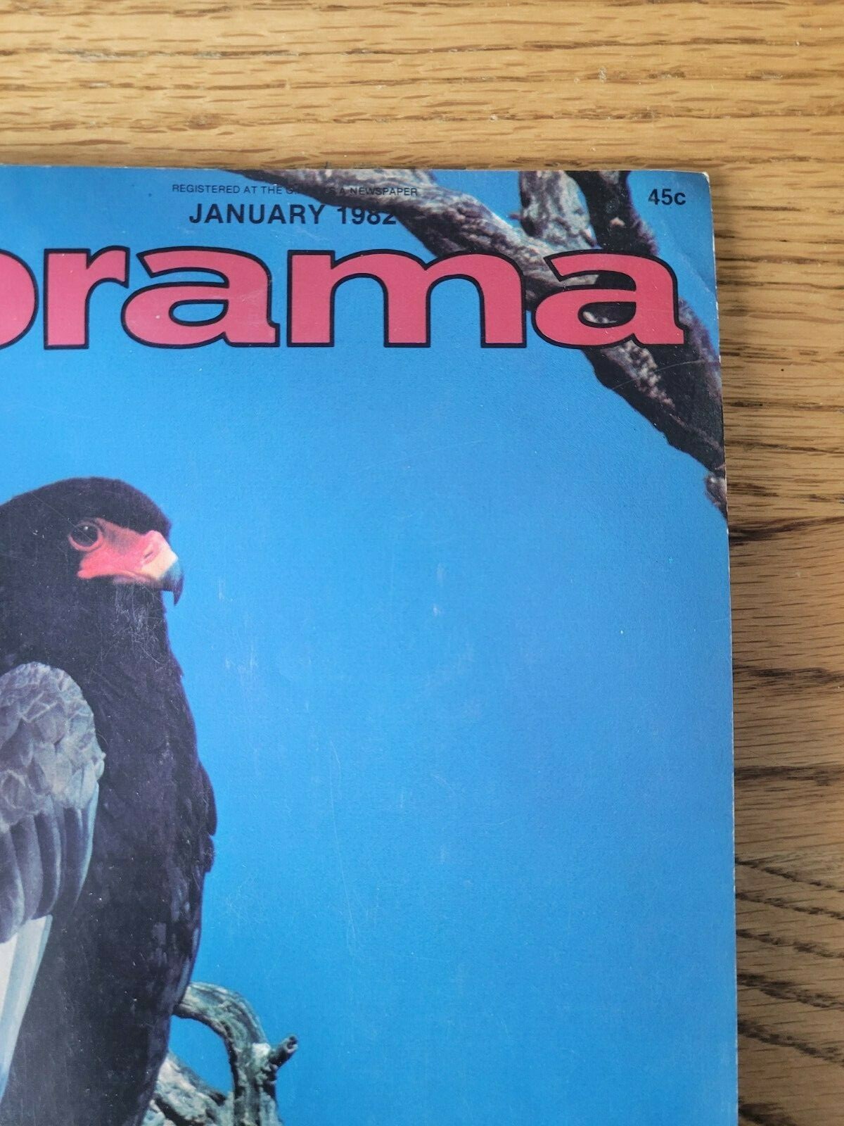 Vintage SOUTH AFRICAN PANORAMA MAGAZINE Jan. 1982, Bratina & endangered ...