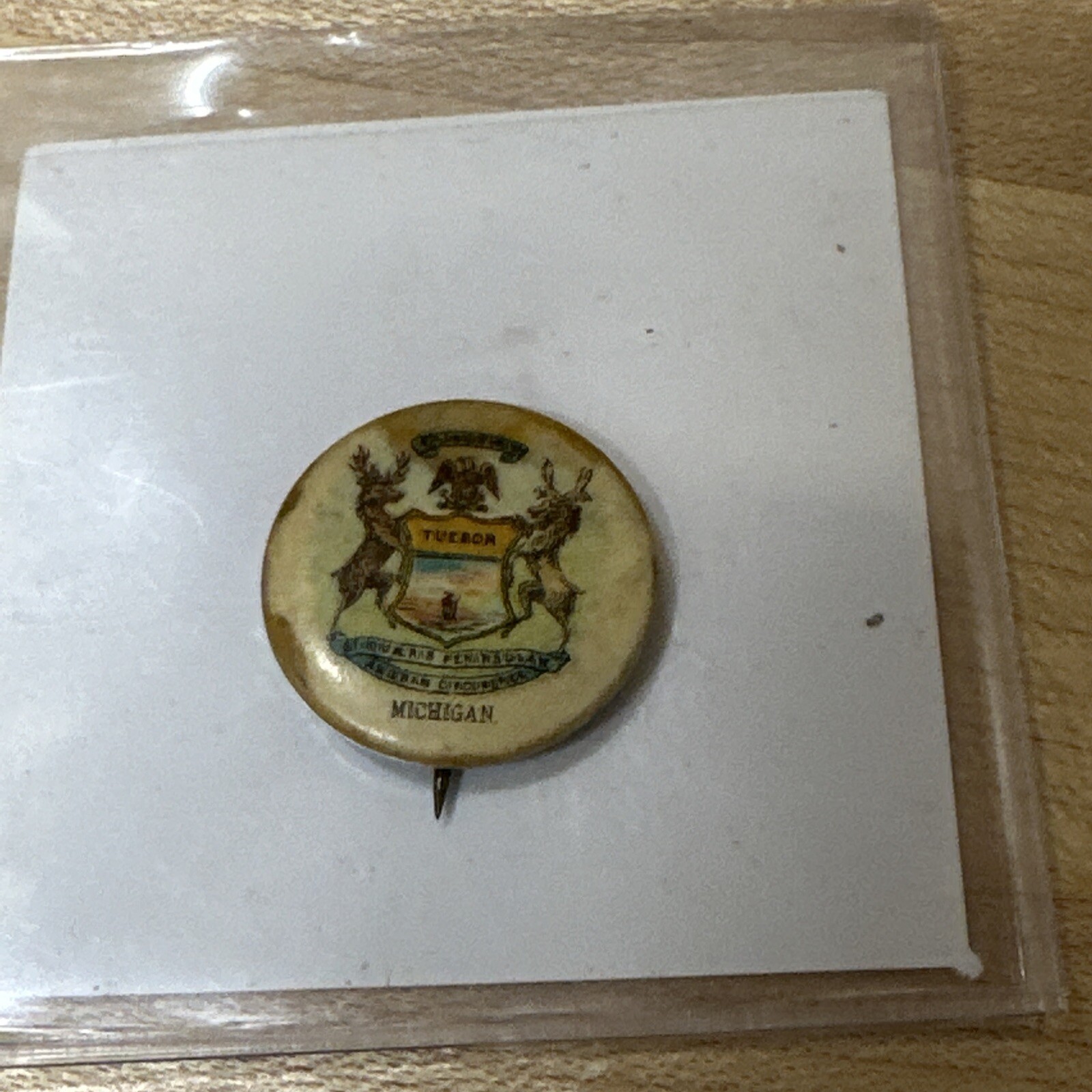 1894 1896 MICHIGAN State Seal Button Pin Pinback Whitehead Hoag Vtg ...