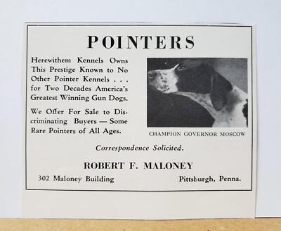 1934 American Pointers Herewithem Kennels Robert Maloney Pittsburgh ...