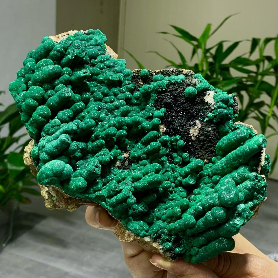 2.34LB Natural Malachite rysocolla transparent cluster rough mineral ...