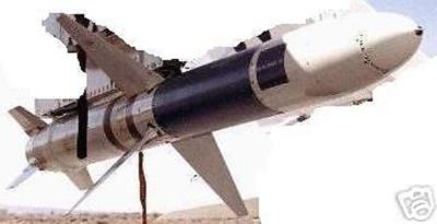 AGM-45 Shrike AGM45 Missile Wood Model Free Shipping New | eBay