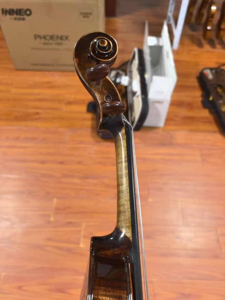 Phoenix Professional European wood violin set /violin kit | eBay