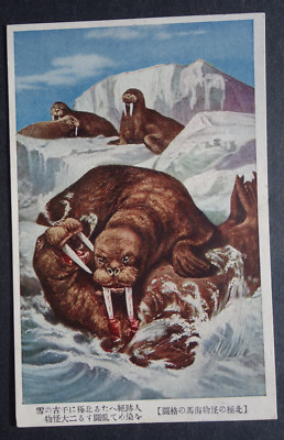 brutal walrus battle drawing by Friedrich Specht Japanese Far North ...