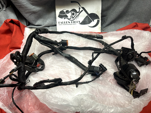 Genuine Harley Sportster Main Wiring Harness With Ignition & Key | eBay