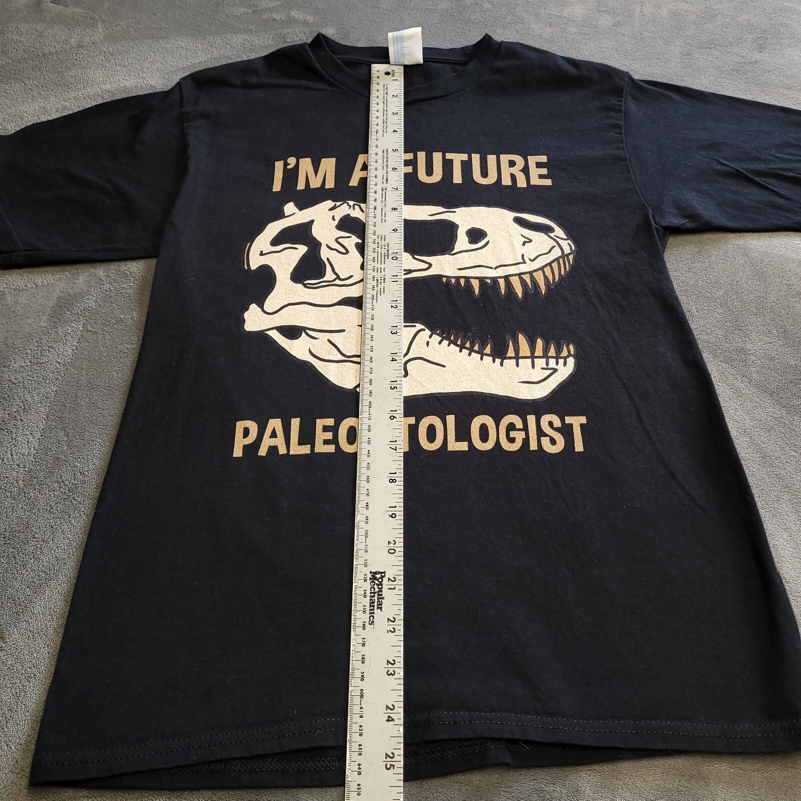 Dinosaur Skeleton Fossils Future Paleontologist T Rex… - Gem