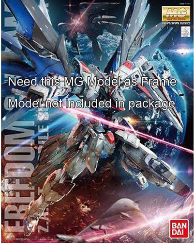 for MG 1/100 Freedom ver 2.0 Recast Infinite Dimension Resin Dress up Kit | eBay