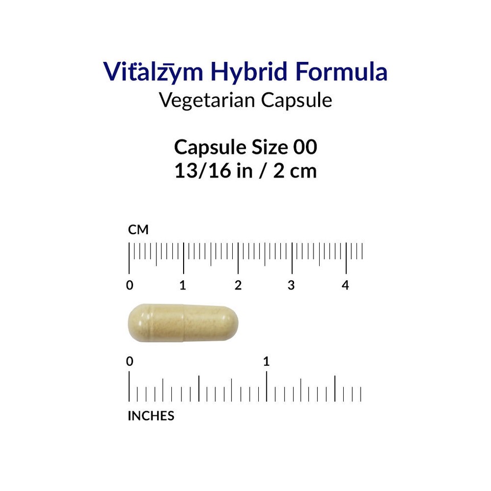 Vitalzym Systemic and Digestive Enzyme Formula 450 Caps - World ...